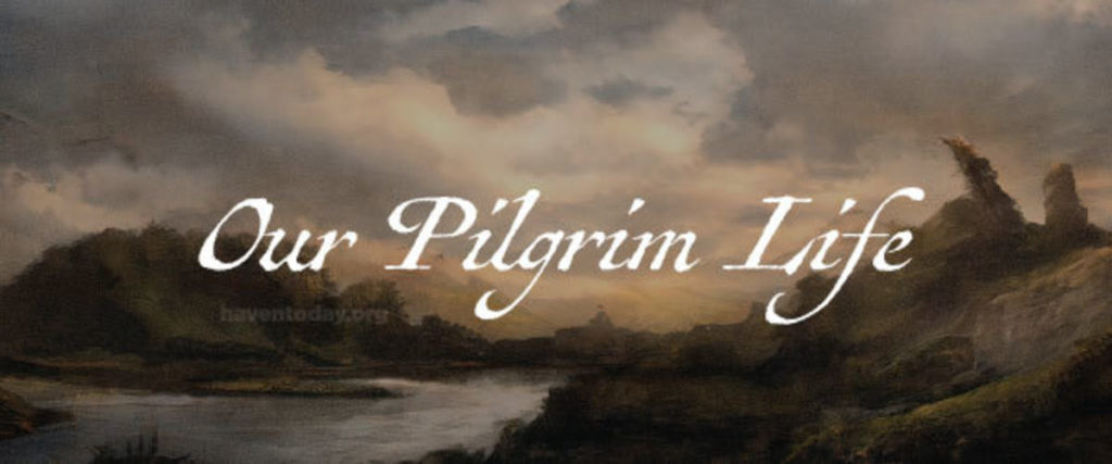 “Our Pilgrim Life” This week on “Haven Today” with Charles Morris at 10 ...